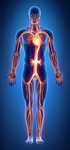 Ankle-Brachial Index (ABI) - Peter Yan Cardiology Clinic